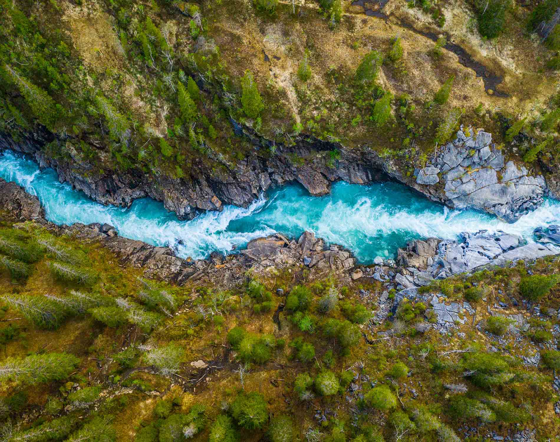 Is a river a legal person? The AER rejects personhood for the Athabasca ...